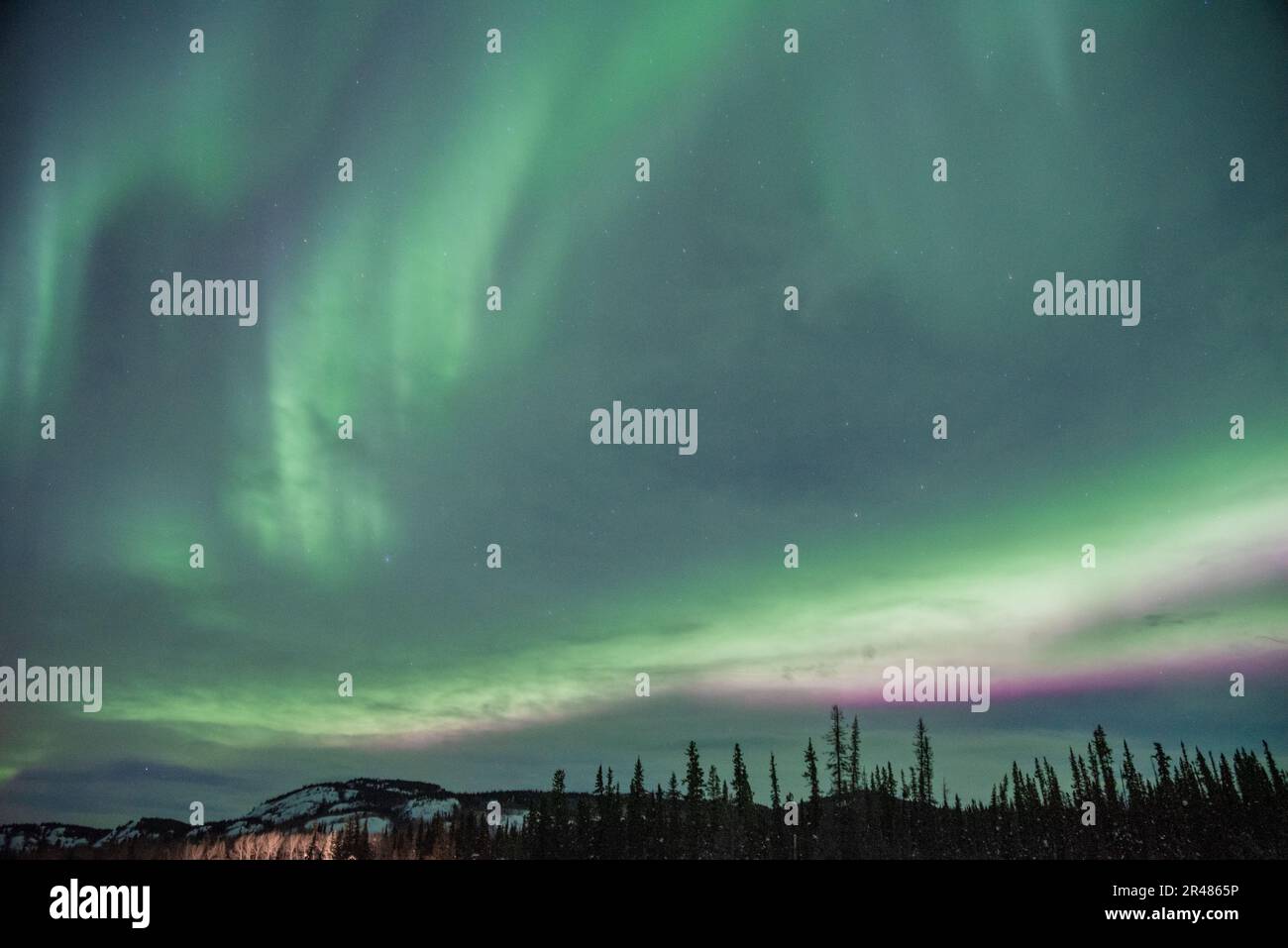 Astonishing, amazing northern lights aurora borealis seen in Yukon ...