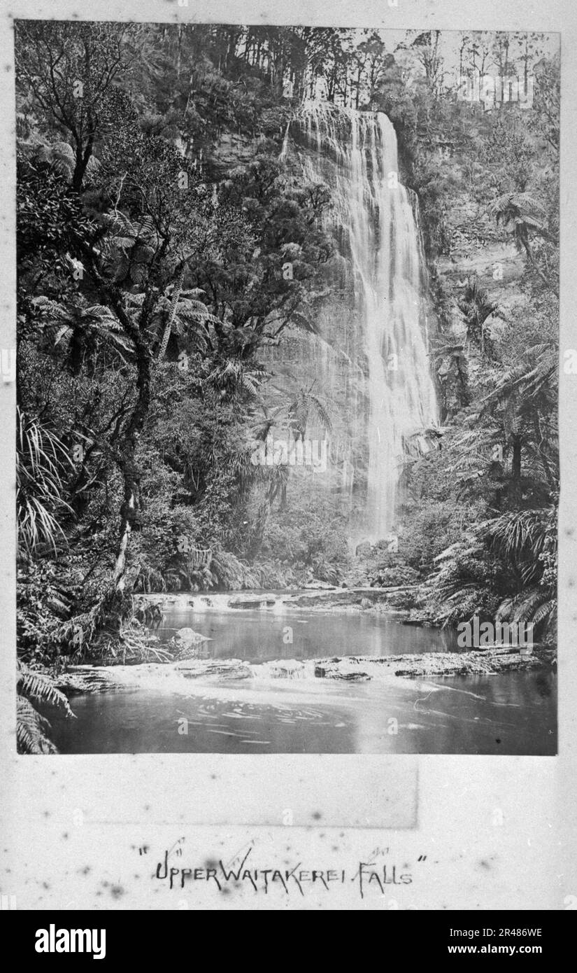 Upper Waitakere Falls, Cascade Kauri Park Stock Photo - Alamy