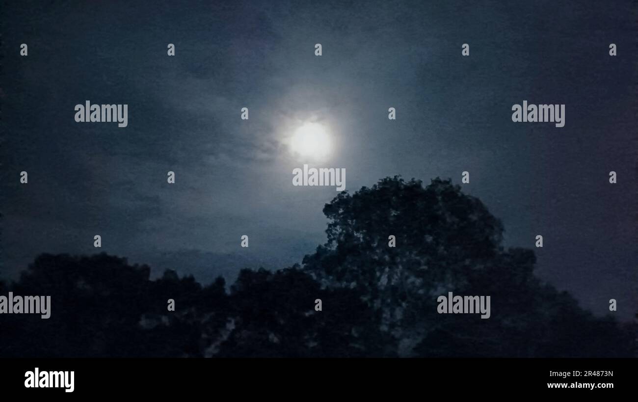 An ethereal image of a waning crescent moon setting amidst silhouetted ...