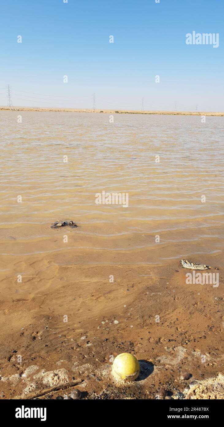 A shallow muddy lake filled with rocks under the bright sunlight Stock ...