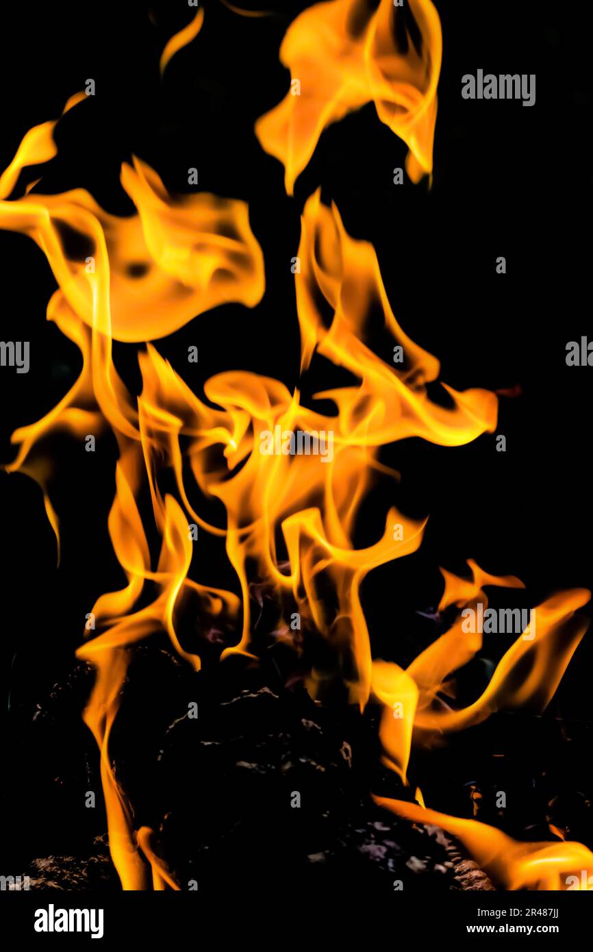 The fire of a campfire with beautiful yellow-orange colors of the ...