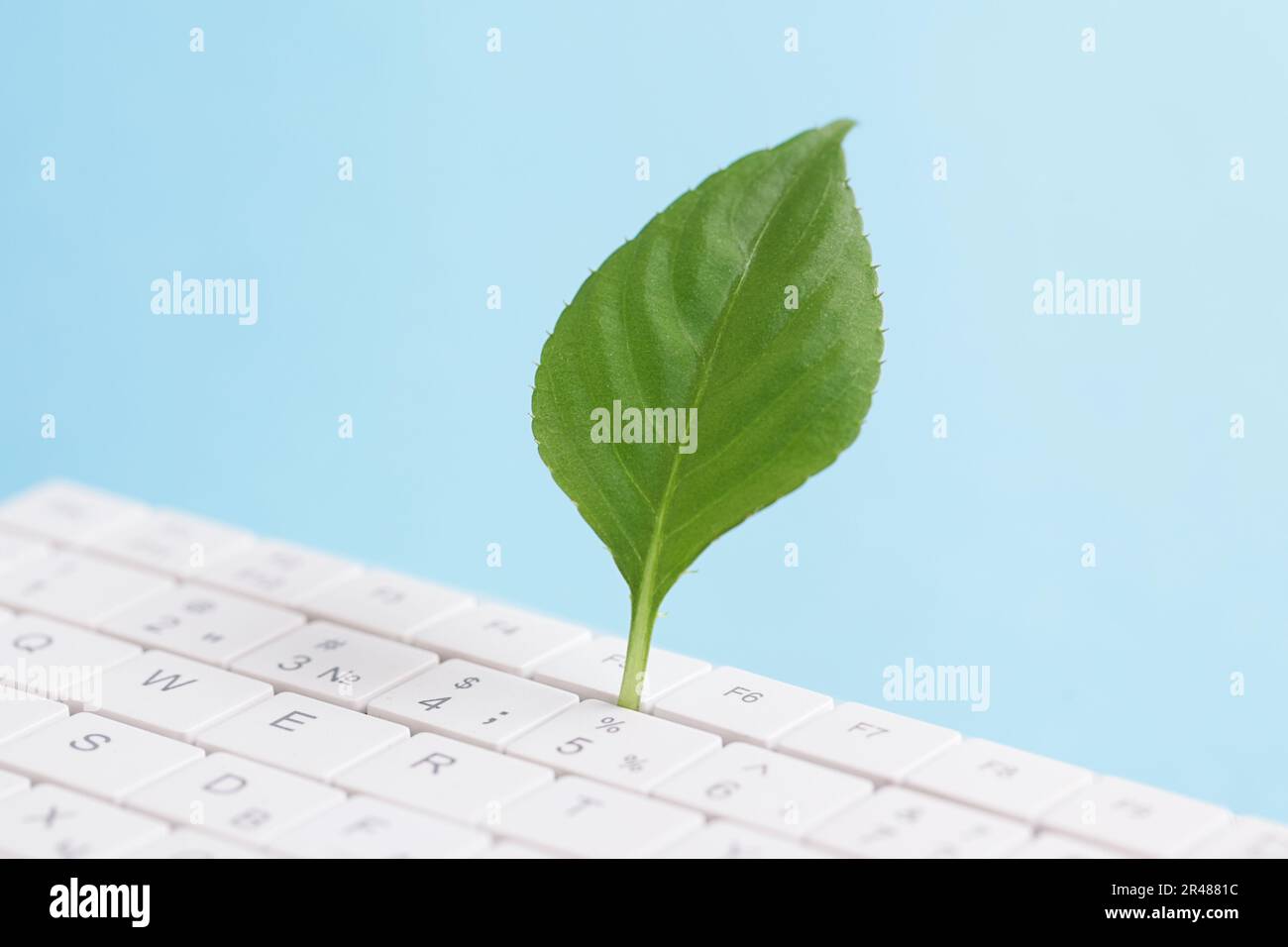 Green information technology. Environmentally Sustainable IT. Green ...