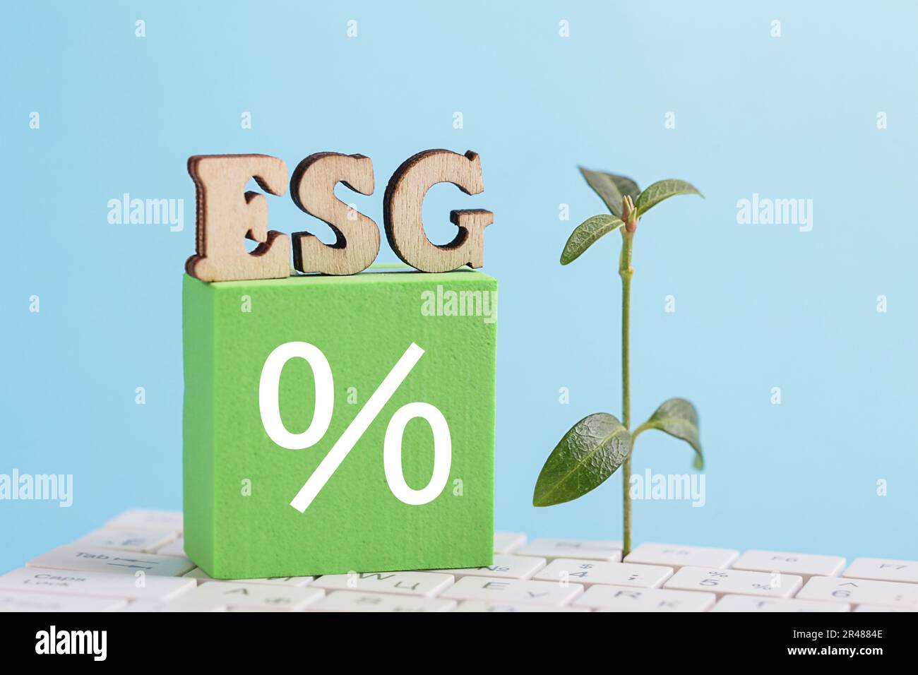 ESG Credit percentage. ESG Credit percentage. ESG, white computer ...