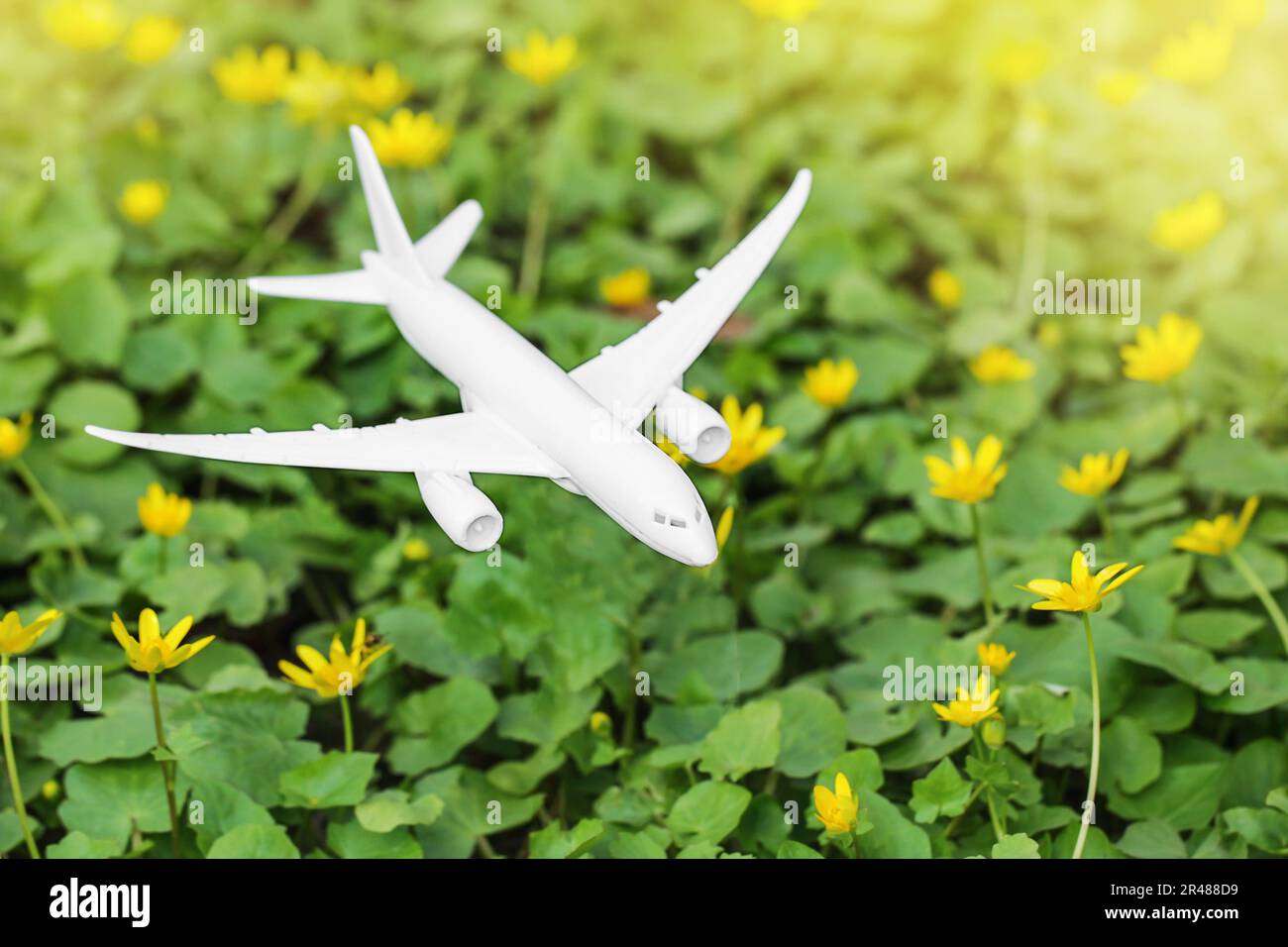 White airplane model on flower fresh green leaves background ...