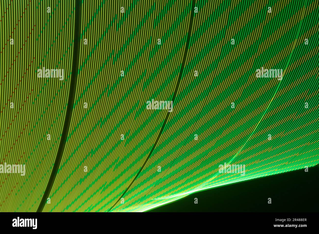 A large display featuring a pattern of green lights radiating outward ...