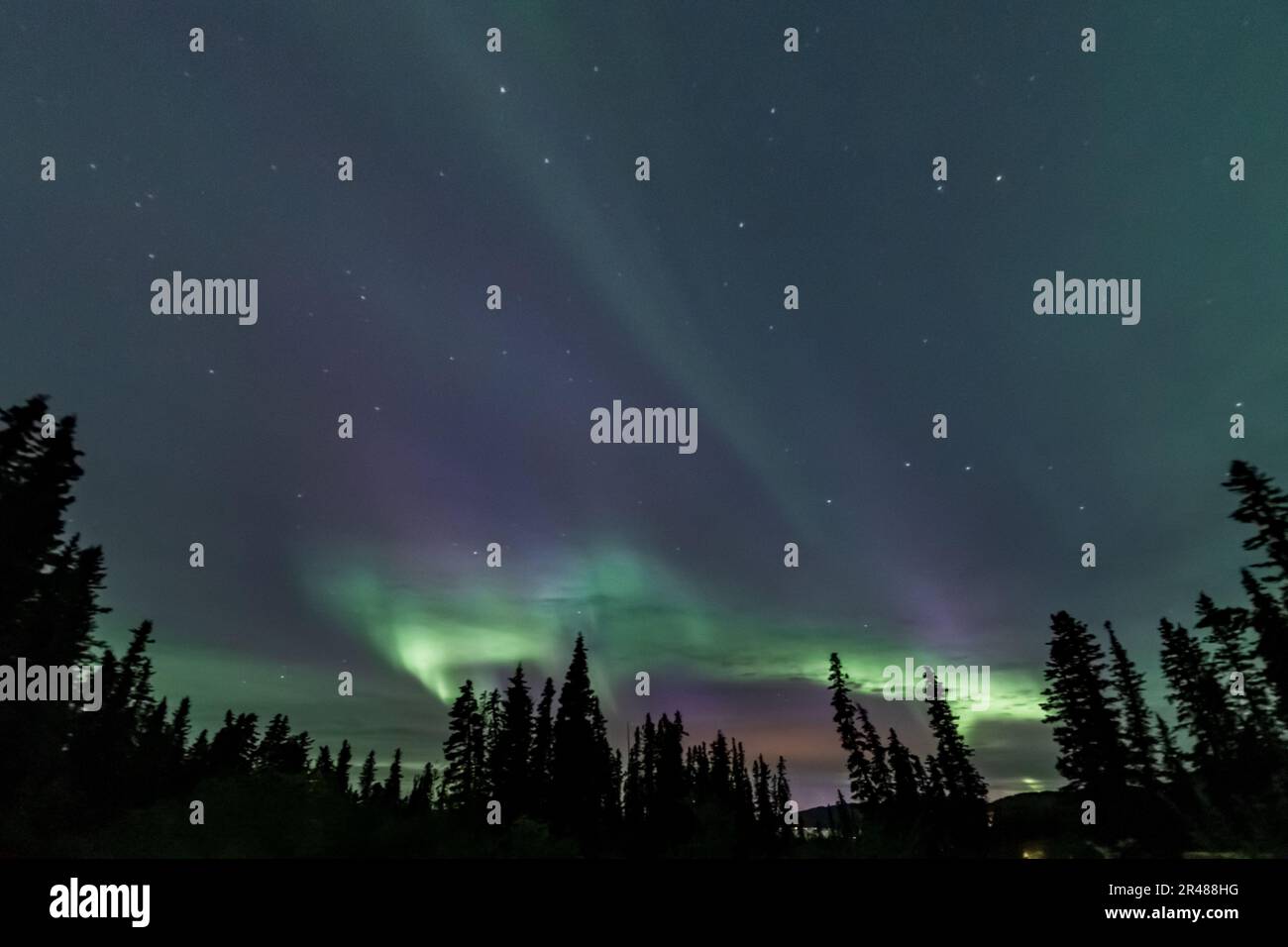 Astonishing, amazing northern lights aurora borealis seen in Yukon ...