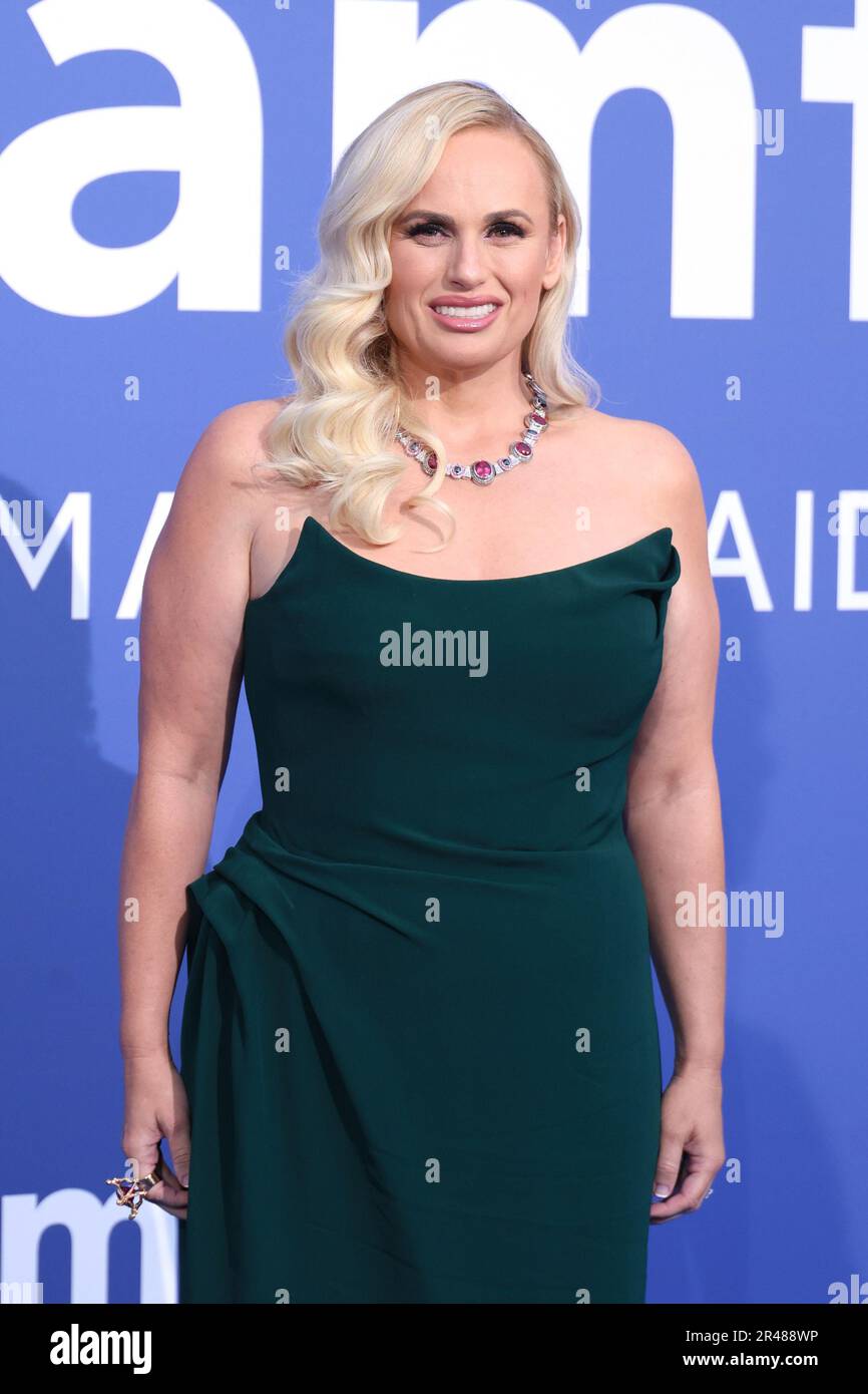 Rebel Wilson attends the amfAR Cinema Against AIDS gala during the 76th ...