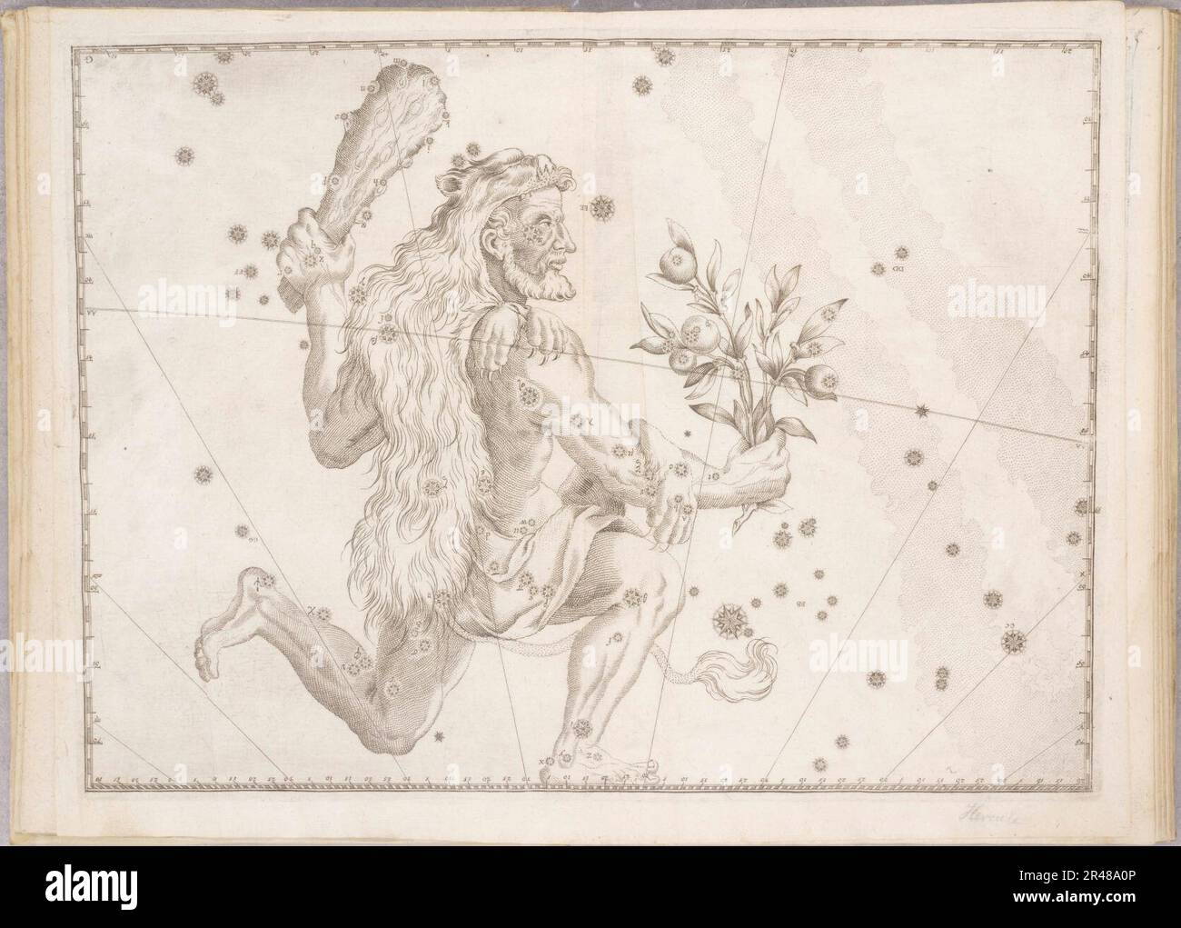 Johann bayer uranometria hi-res stock photography and images - Alamy