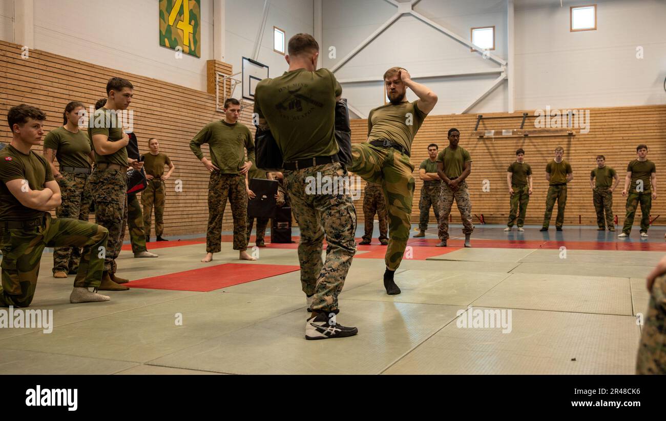 U.S. Marine Corps Staff Sgt. Brian Bessey (left), a martial arts ...