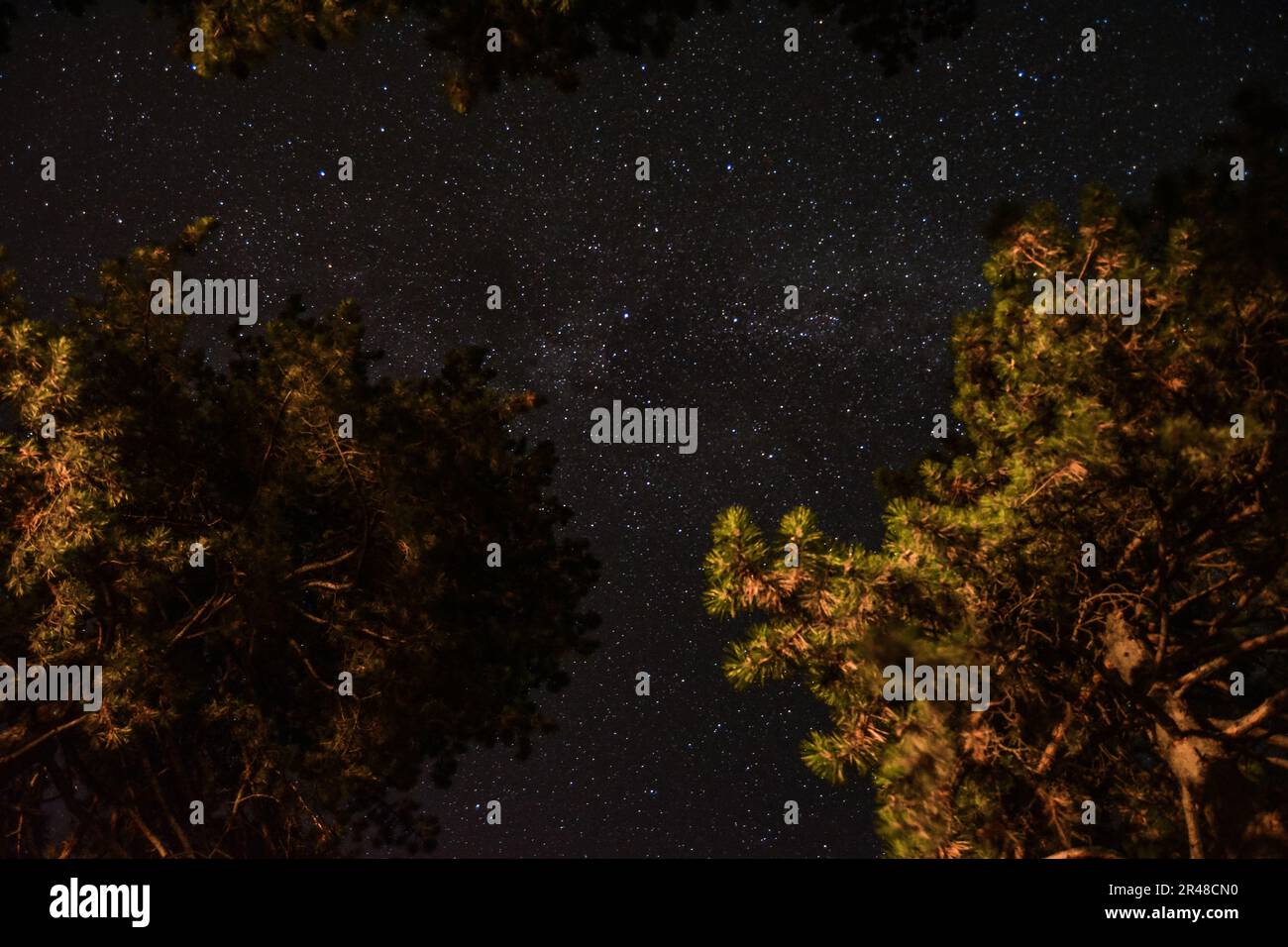 A scenic view of the night sky featuring the Milky Way galaxy ...