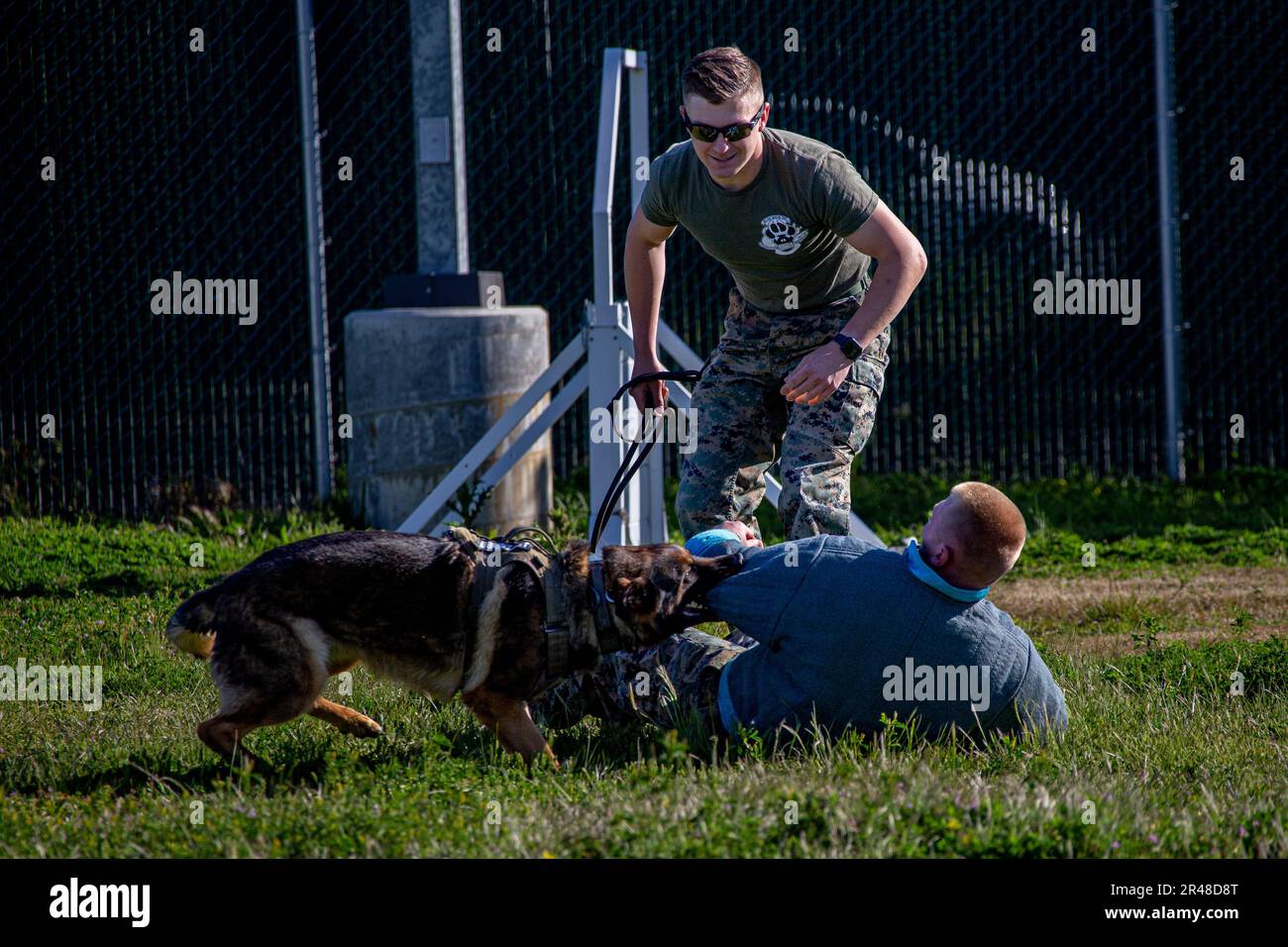Toby Scott Ganger Tommy Boy