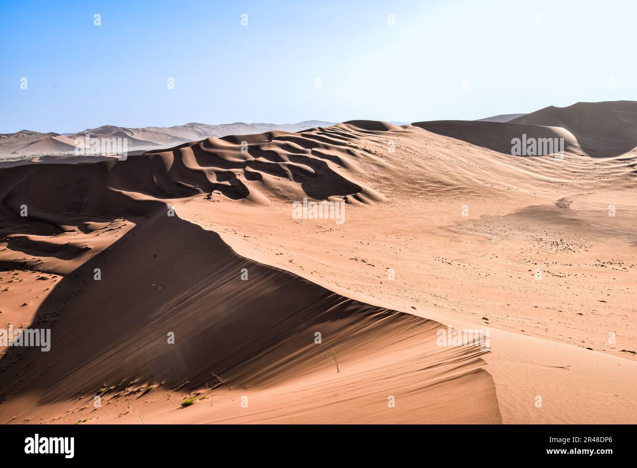 An empty desert landscape with sand dunes, Sossusvlei, Namibia Stock ...