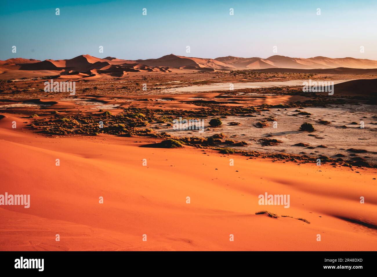 A scenic view of a dry desert landscape in Africa, featuring sand dunes ...