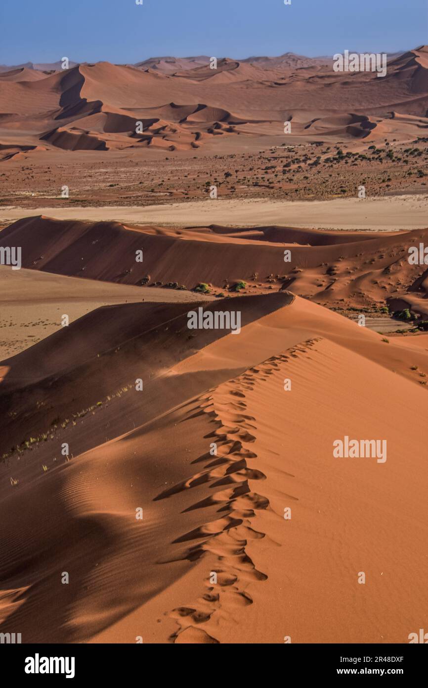 A scenic view of a dry desert landscape in Africa, featuring sand dunes ...