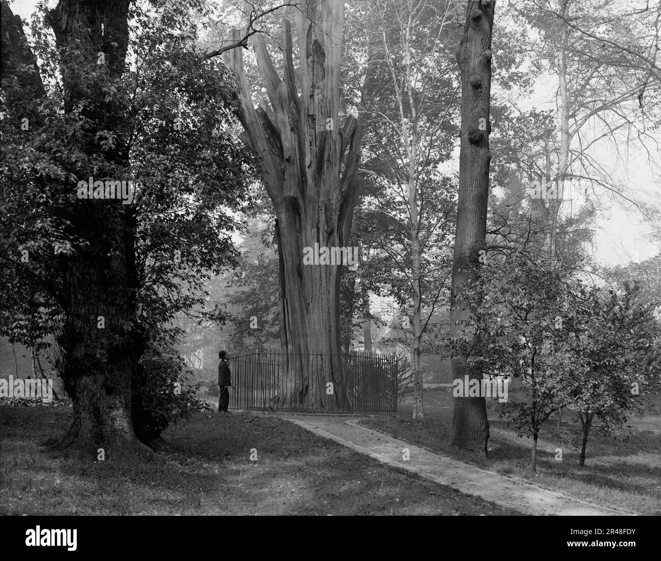 Bartrams gardens hi-res stock photography and images - Alamy