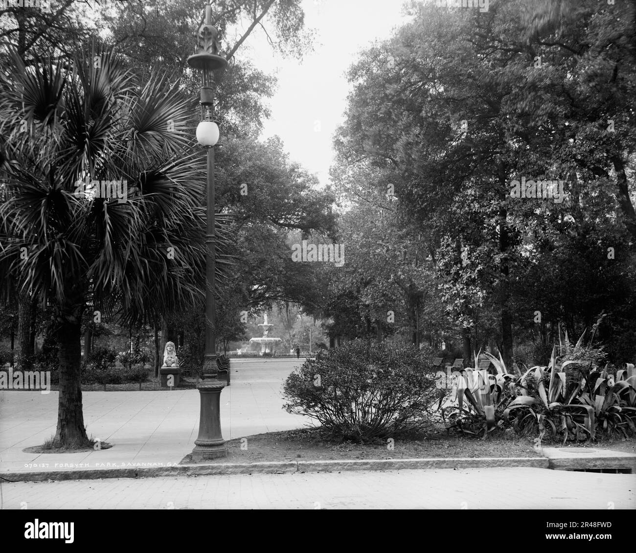 Forsyth Park, Savannah, Ga., between 1900 and 1910 Stock Photo - Alamy