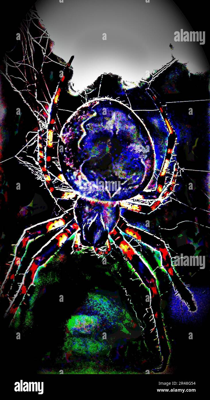 This vibrant painting features a colorful spider, as if it is on a ...