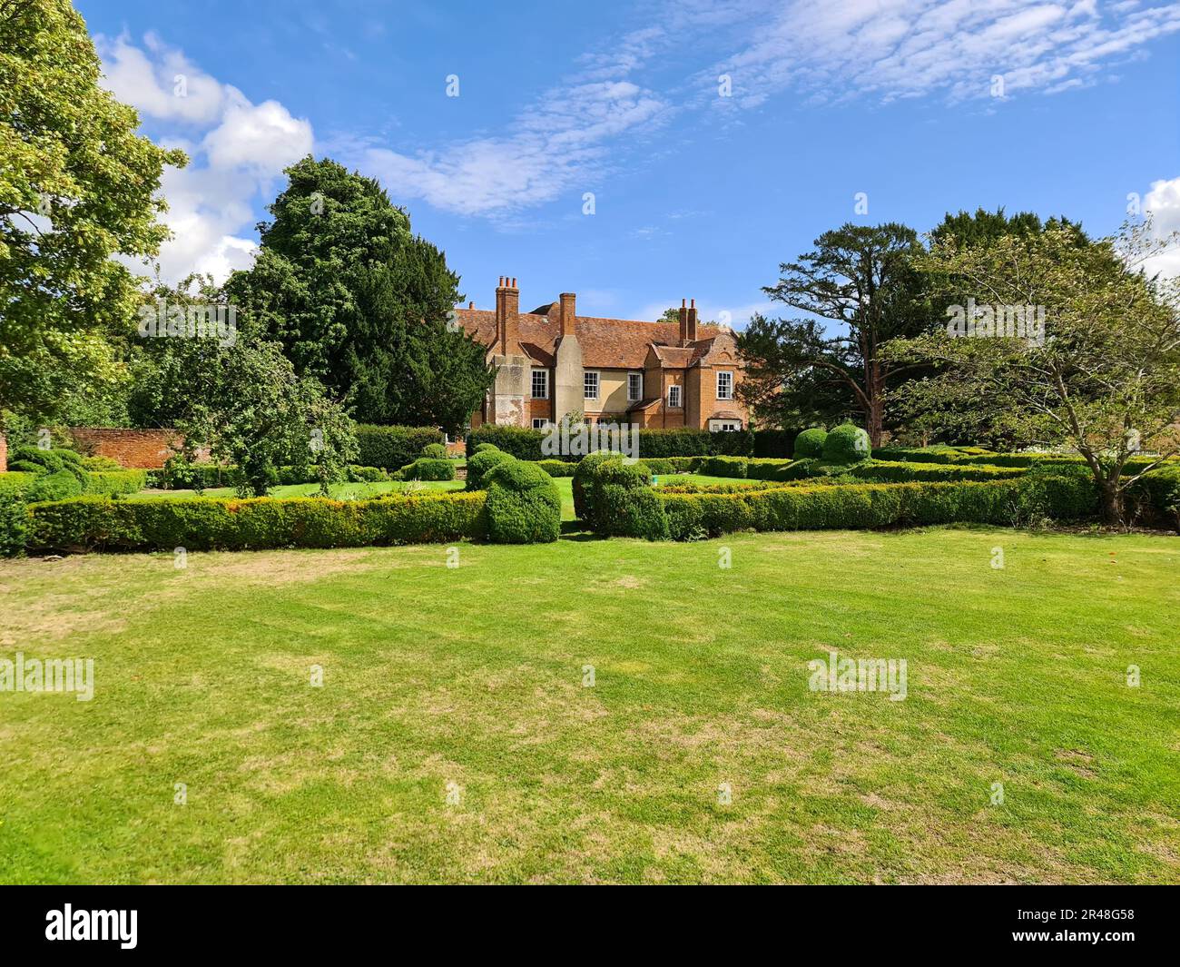 A scenic outdoor landscape featuring lush green grass, tall trees, and ...