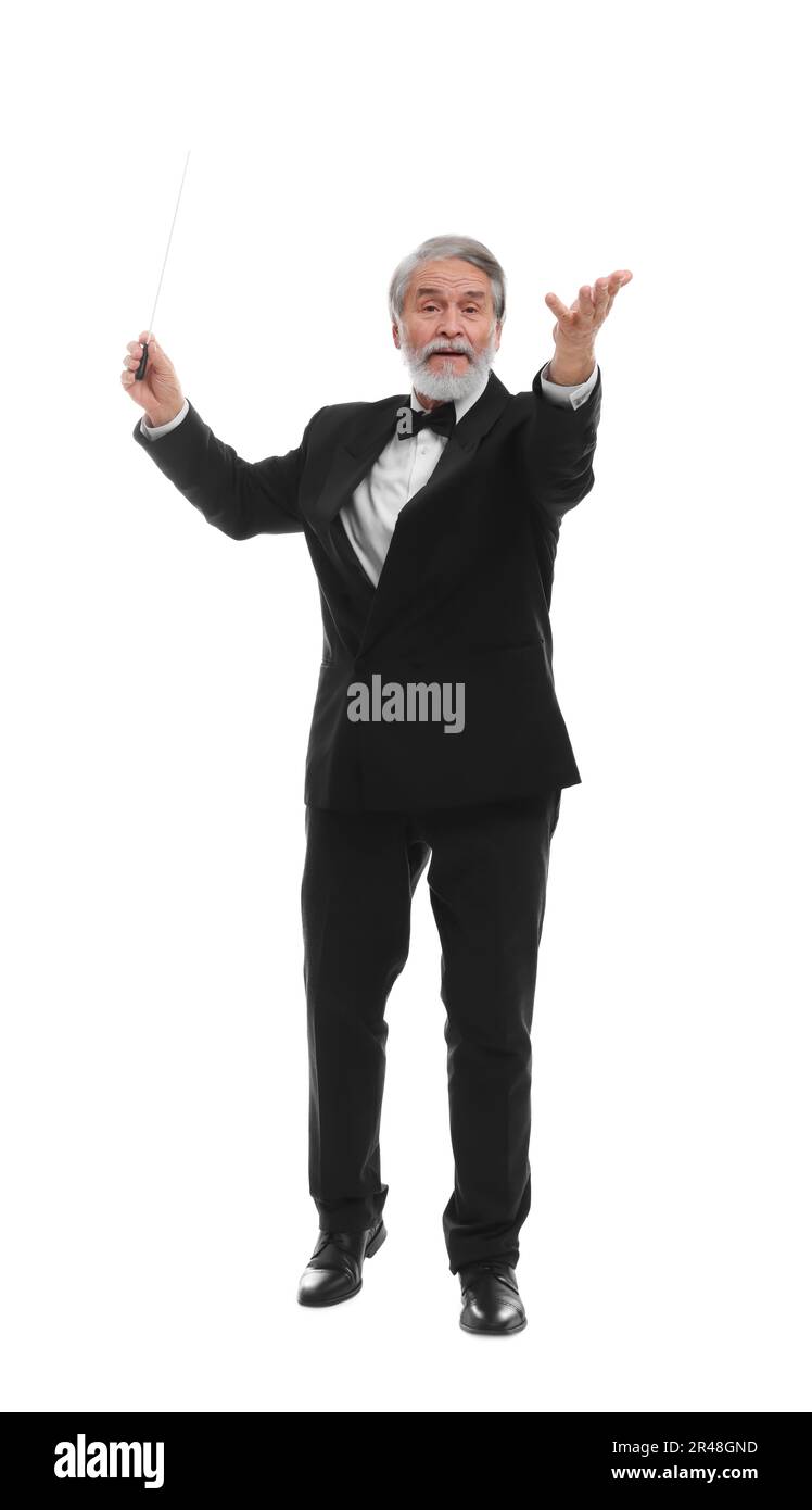 Professional conductor with baton on white background Stock Photo - Alamy