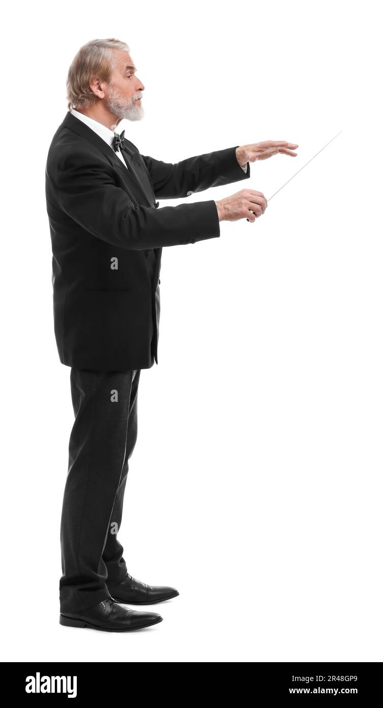 Professional conductor with baton on white background Stock Photo - Alamy