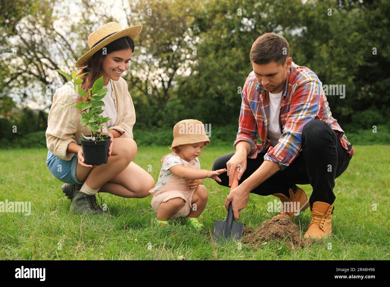 Family planting young tree together in garden Stock Photo - Alamy