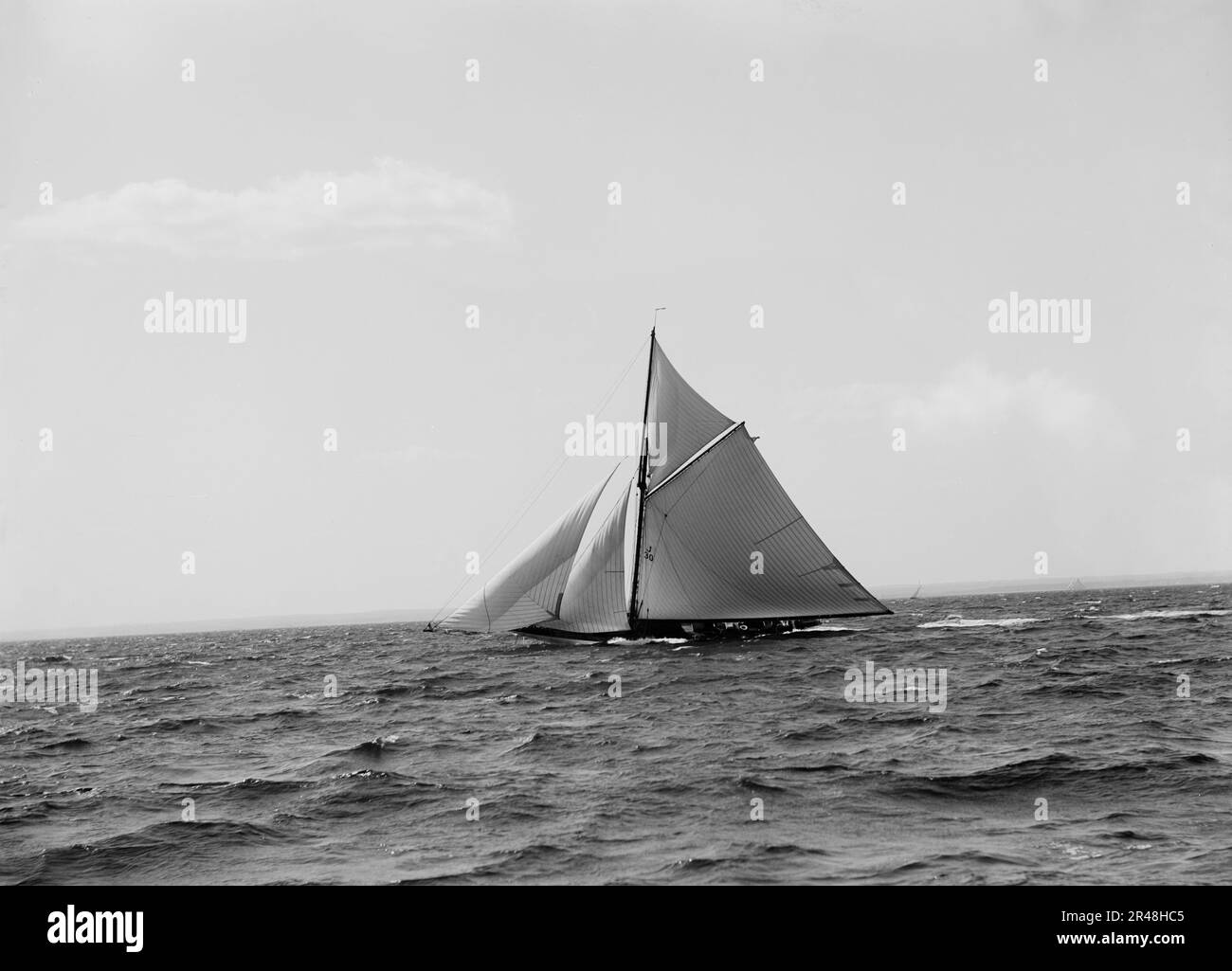 Wasp activities hi-res stock photography and images - Alamy