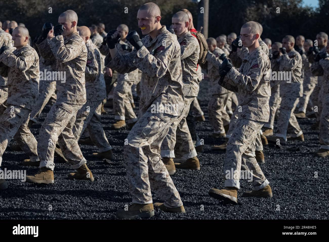 Moral stance hi-res stock photography and images - Alamy