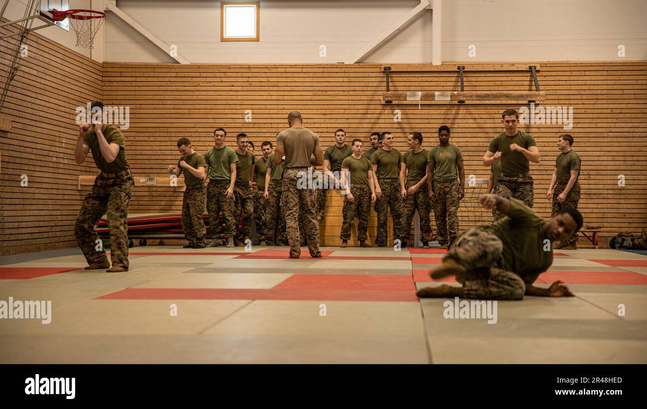 U.S. Marine Corps Sgt. Emmanuel Ngene, a martial arts instructor (MAI ...