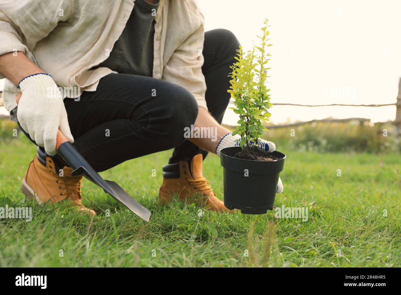 Man planting tree in countryside, closeup view Stock Photo - Alamy