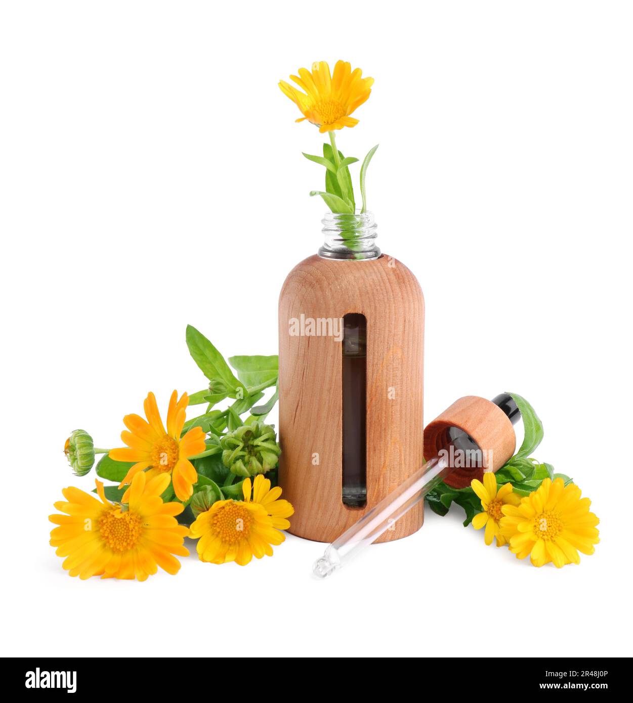 Bottle of essential oil and calendula flowers on white background Stock ...