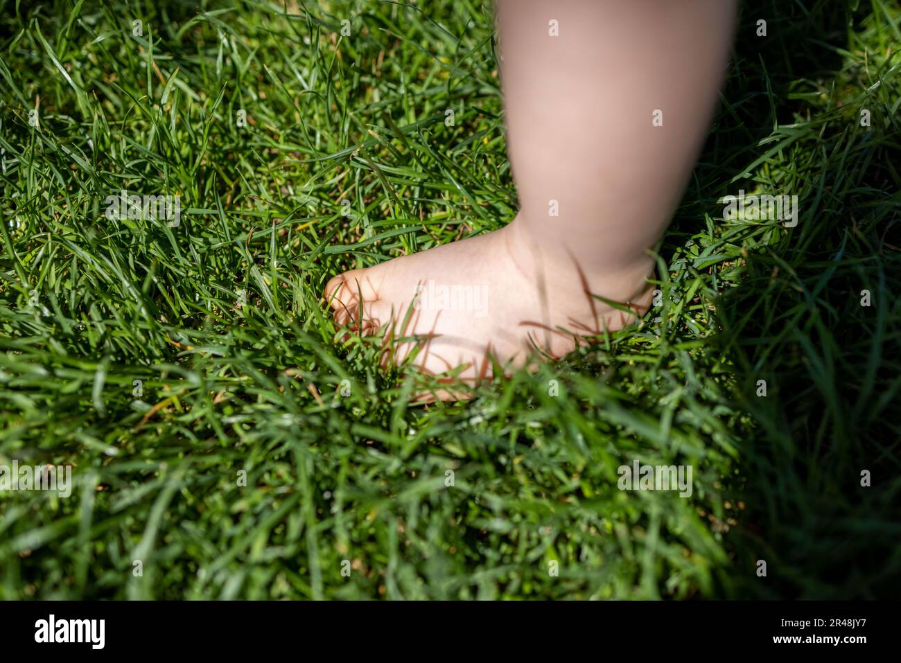 Child foot steps grass hi-res stock photography and images - Alamy
