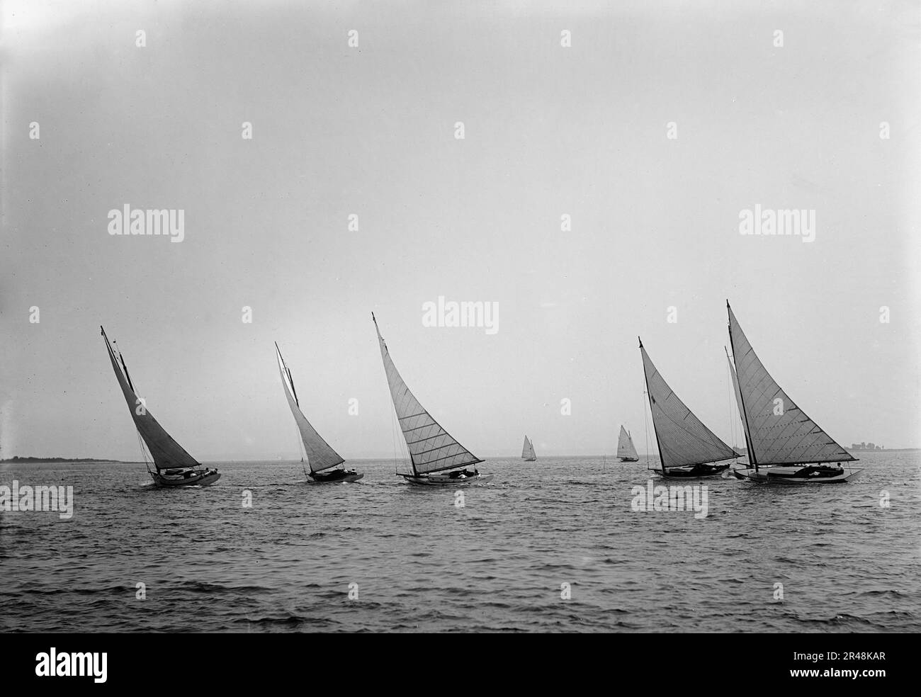 Cabin cats after start, 1898 July 30 Stock Photo - Alamy