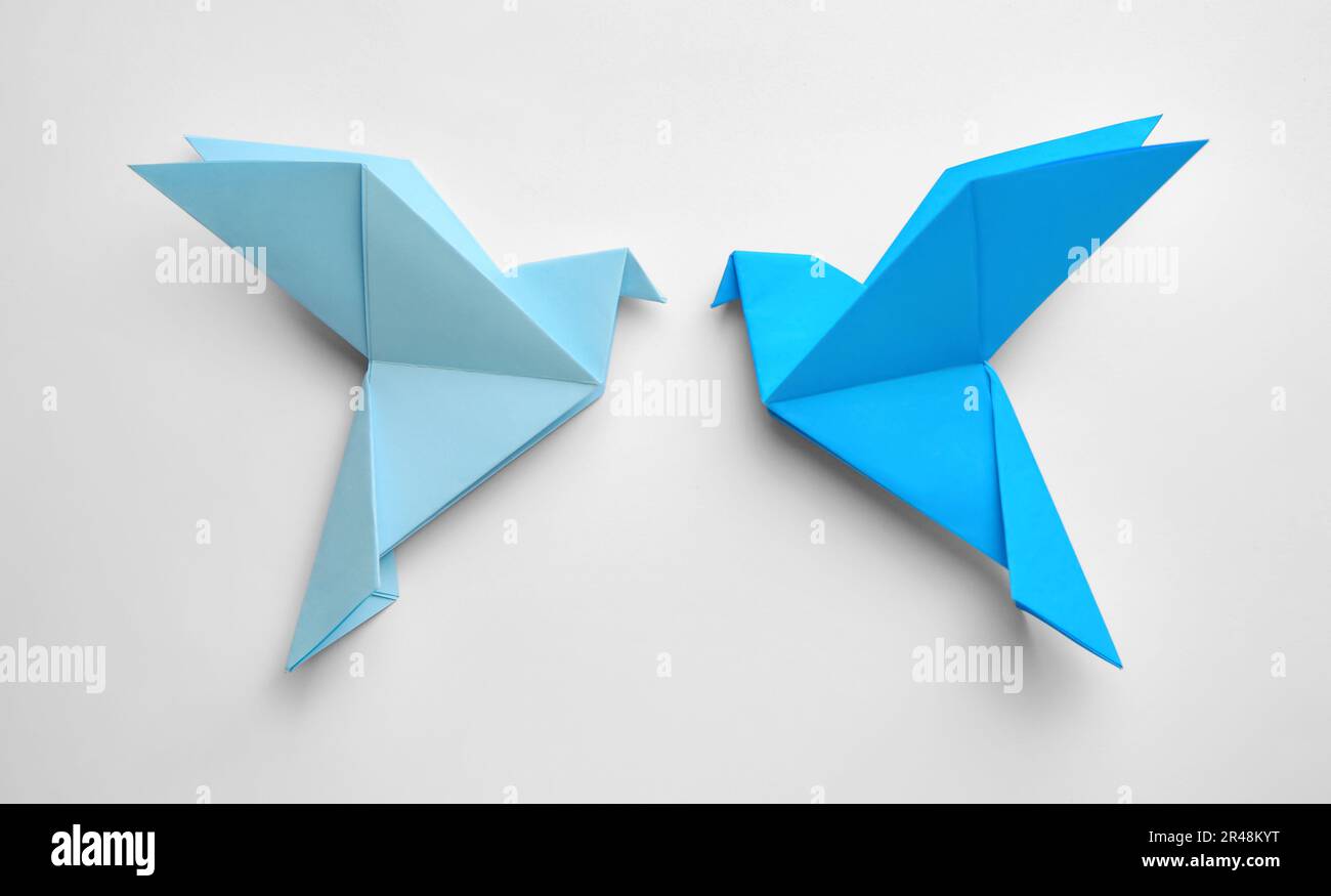 Origami art. Colorful handmade paper birds on white background, flat ...