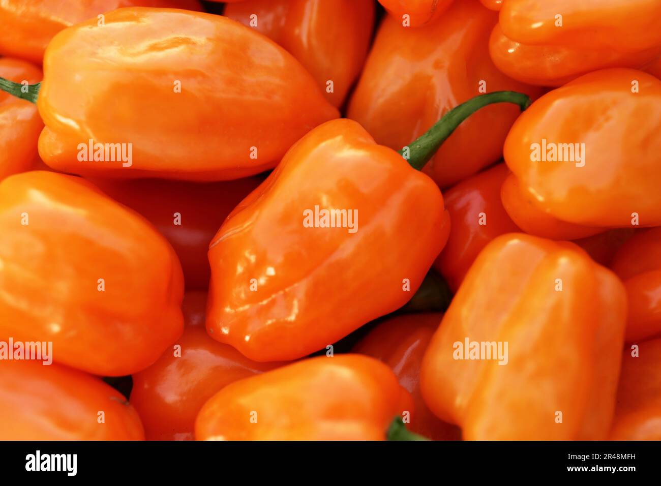 Orange hot chili peppers as background, closeup Stock Photo - Alamy