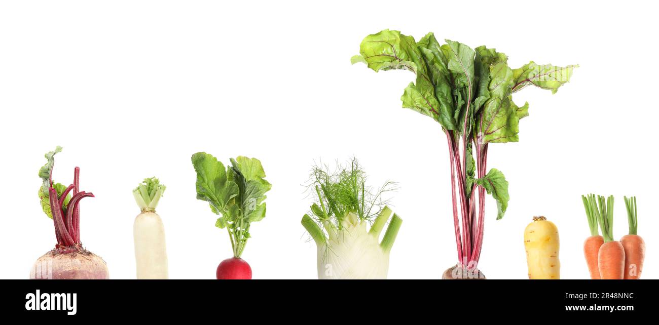 Collage with different root vegetables on white background Stock Photo ...