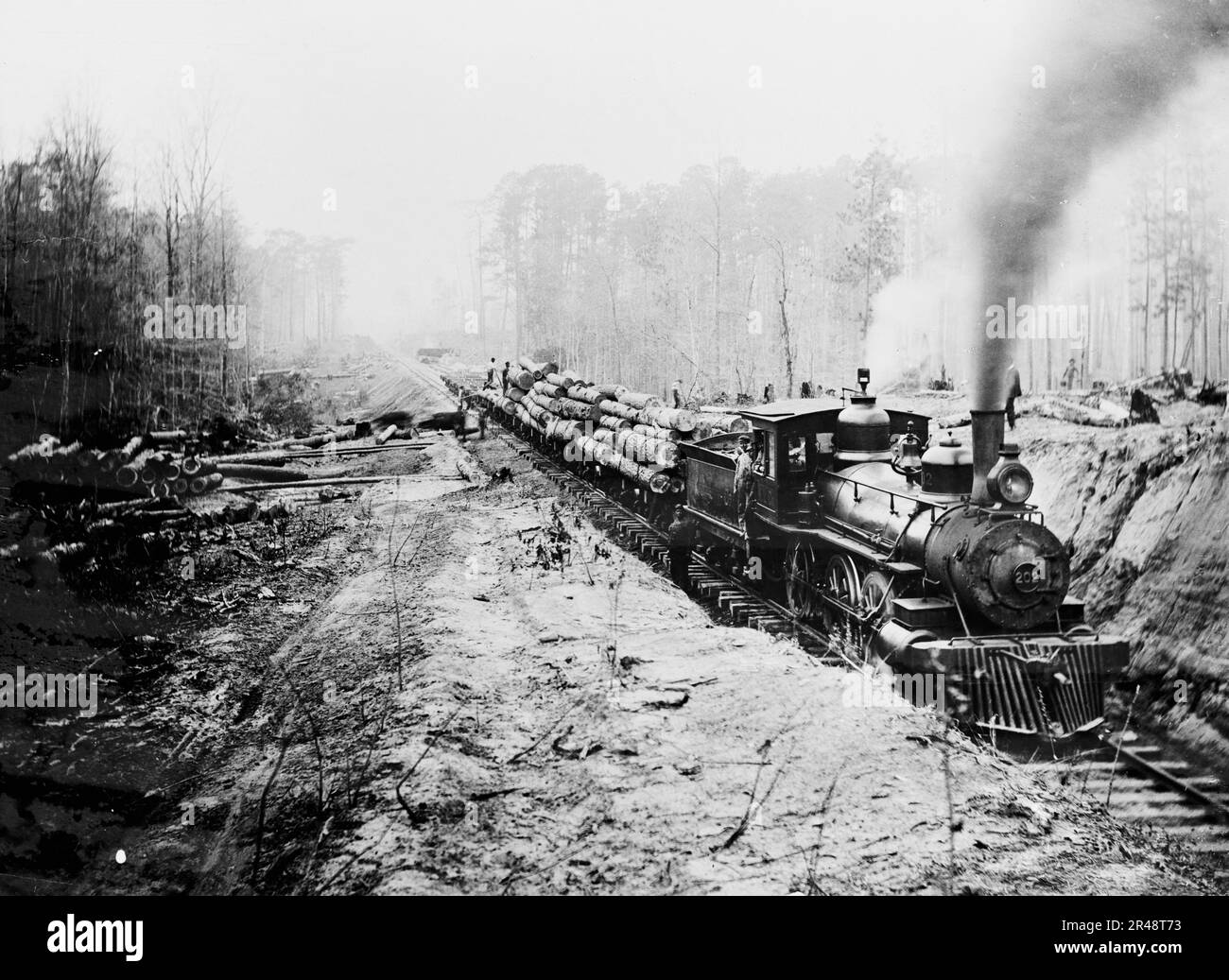 American historical logging hi-res stock photography and images - Alamy