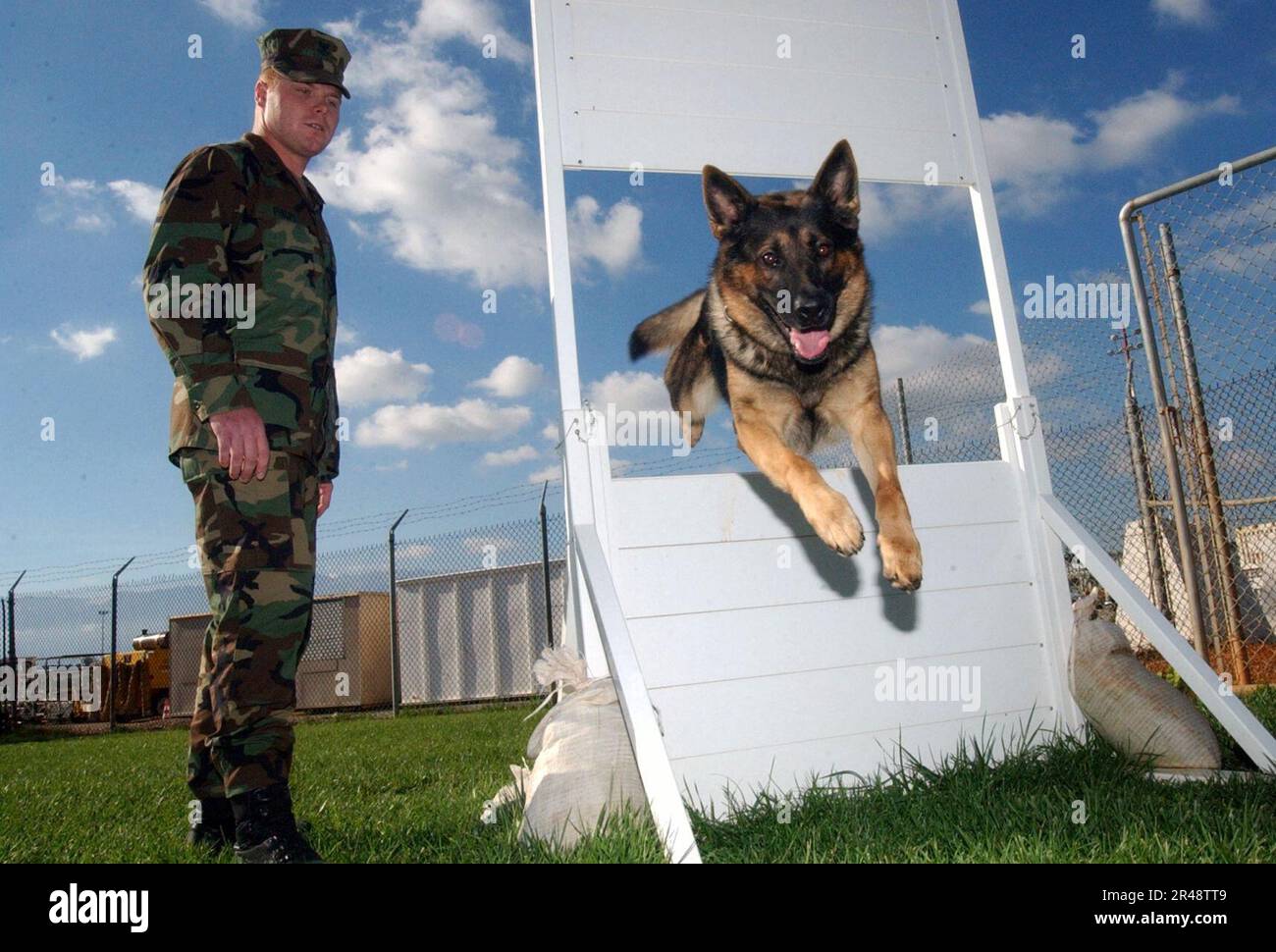 US Navy Patrol dog obstacle course Stock Photo - Alamy