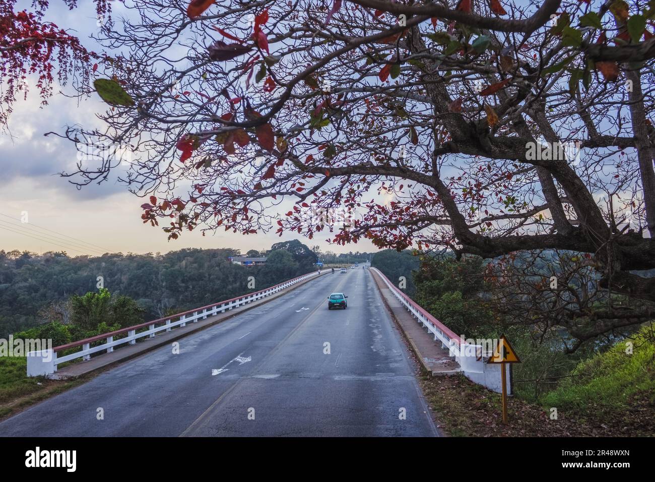 A highway with cars on the asphalt surface, surrounded by lush green ...