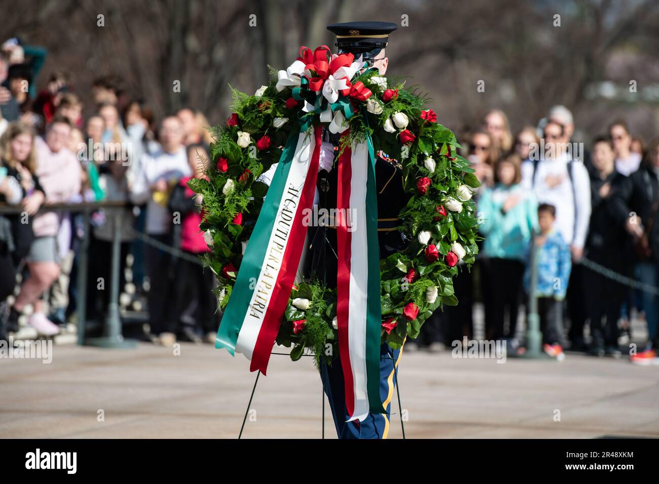 A tomb guards from the 3d U.S. Infantry Regiment (The Old Guard ...