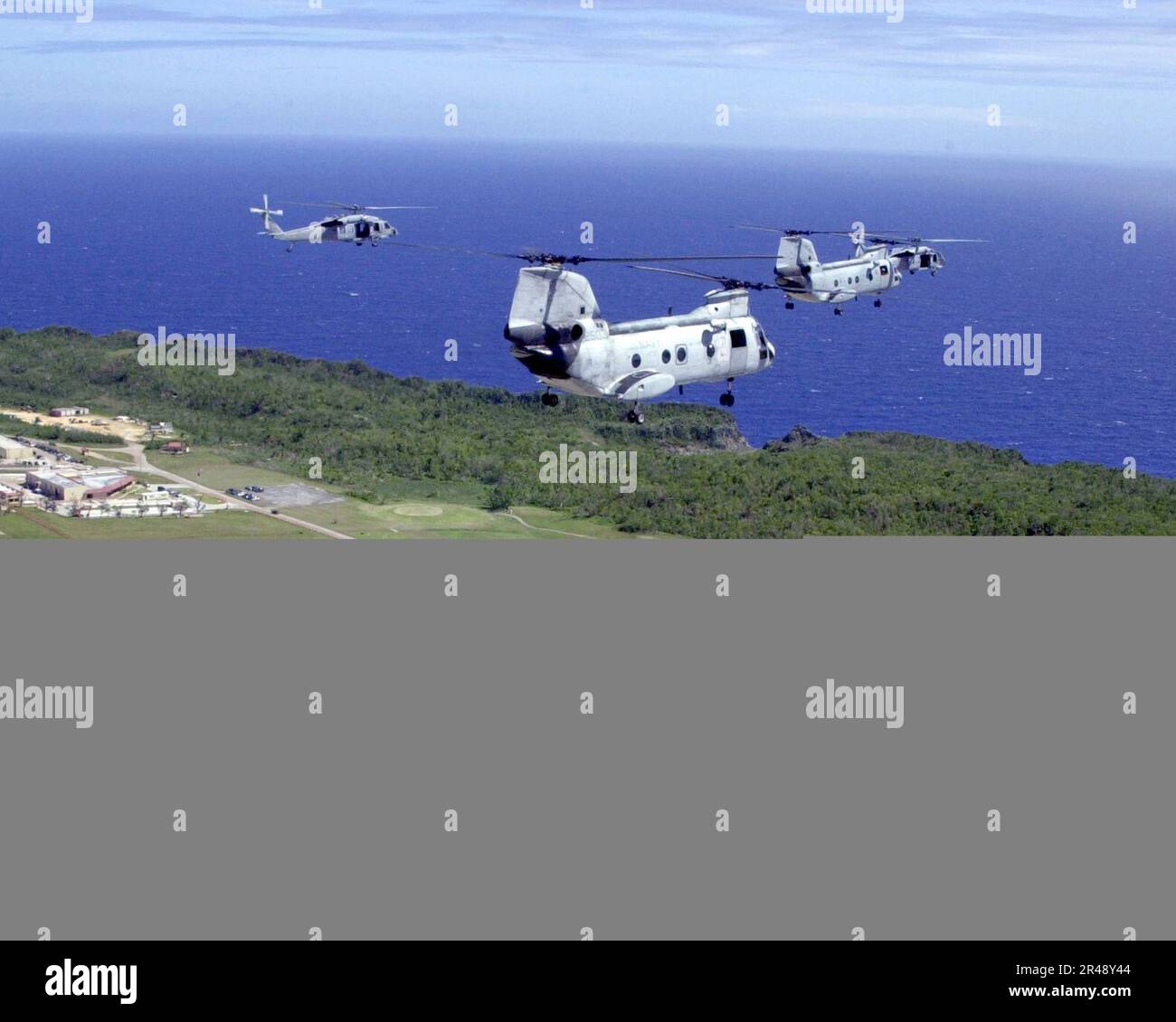 US Navy Two UH-46 ''Sea Knights'' and two UH-60 ''Black Hawks'' fly ...