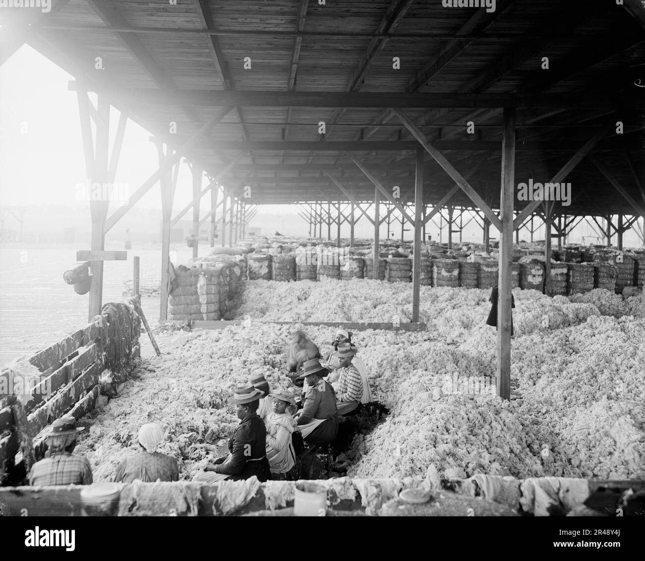 1900 america black women hi-res stock photography and images - Alamy