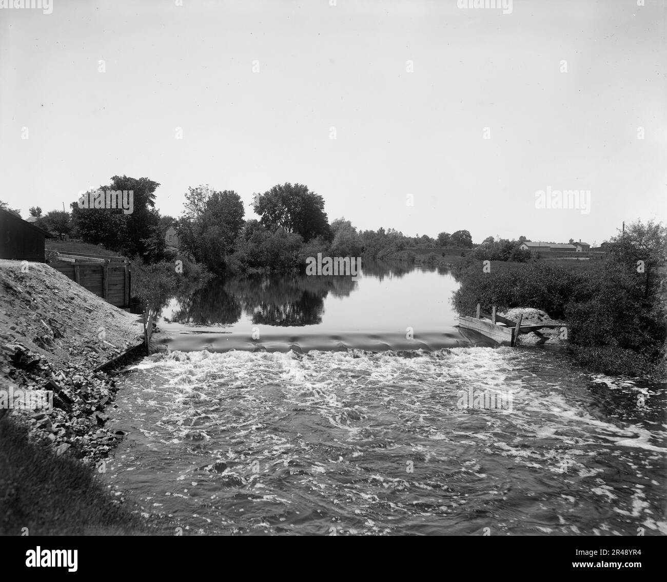 Michigan white pine Black and White Stock Photos & Images - Alamy