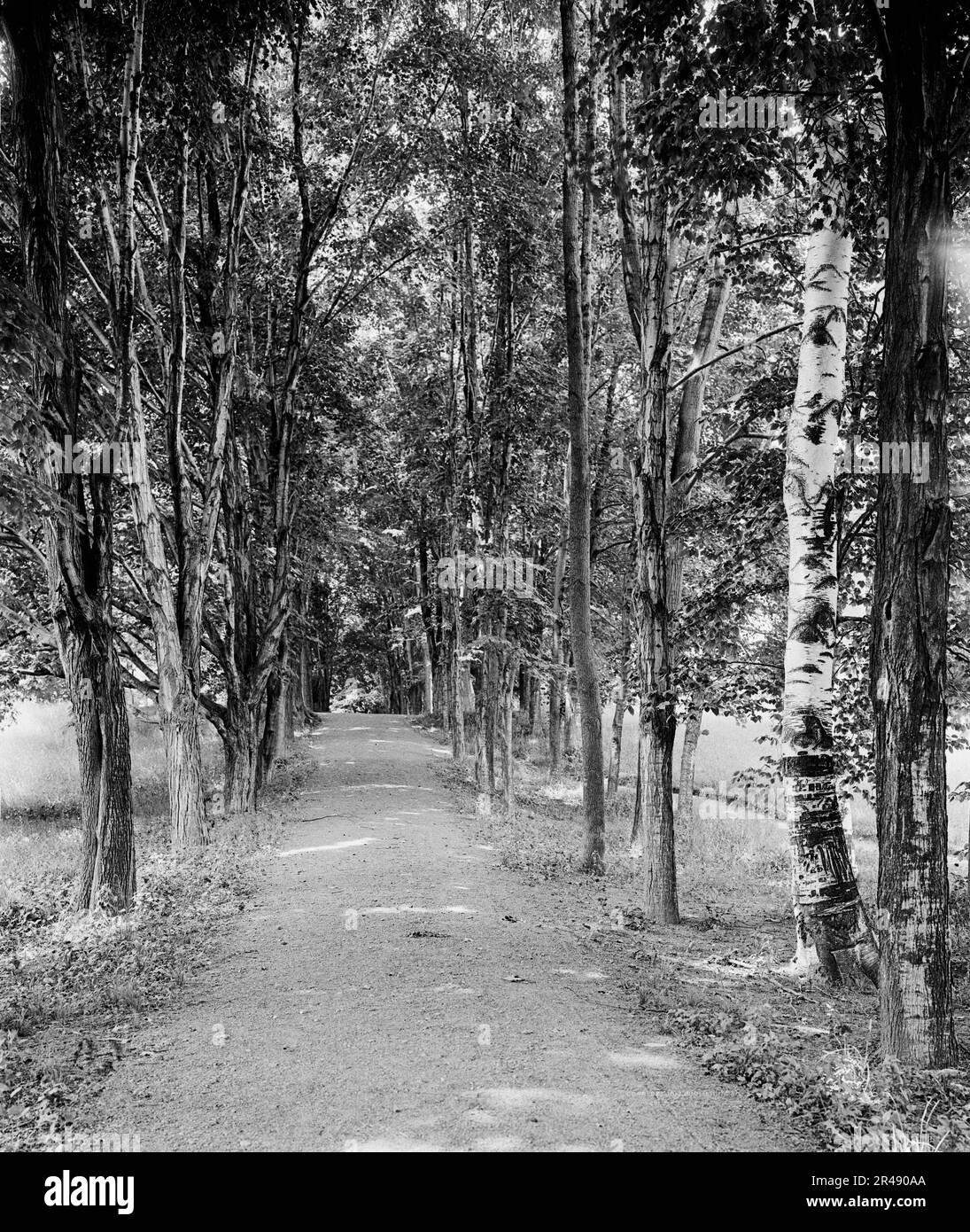 Mount holyoke college Black and White Stock Photos & Images - Alamy