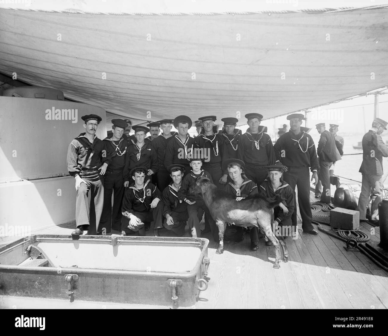 Pitch, the ship's mascot, between 1893 and 1901 Stock Photo - Alamy
