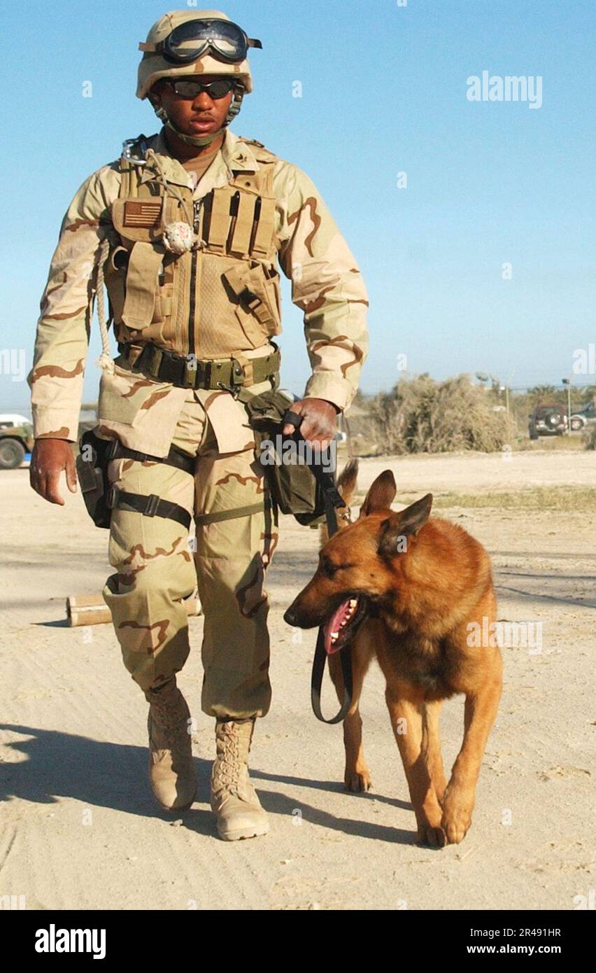 US Navy U.S. Navy working dog Stock Photo - Alamy