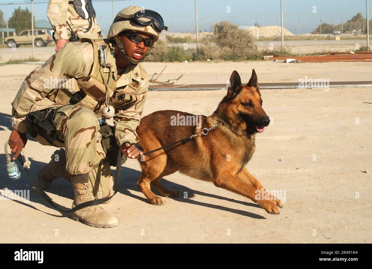 US Navy Military working dog, Camp Patriot, Kuwait Stock Photo - Alamy