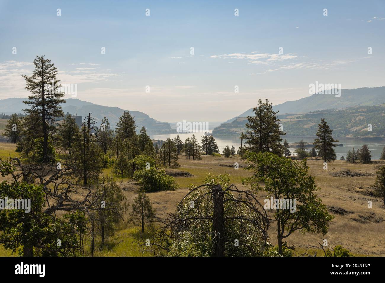 Beautiful summer landscape views of the Eastern Columbia River Gorge ...