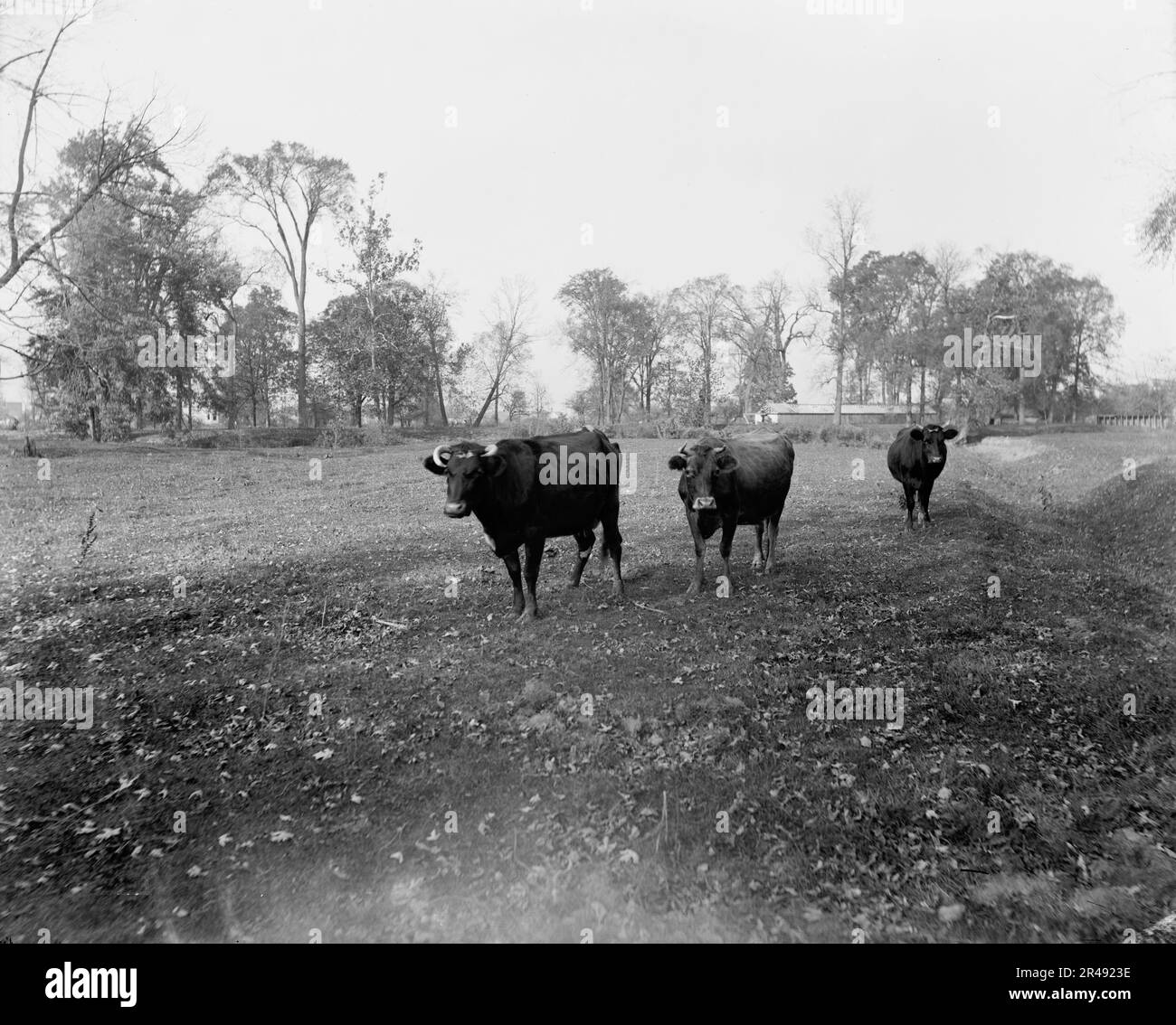 United states michigan mount clemens hi-res stock photography and ...