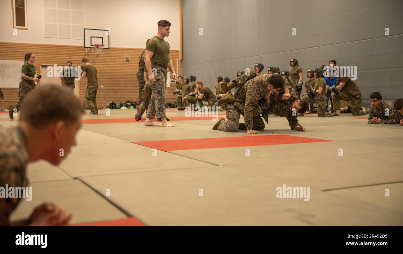 U.S. Marines with 2d Combat Engineer Battalion, 2d Marine Division ...