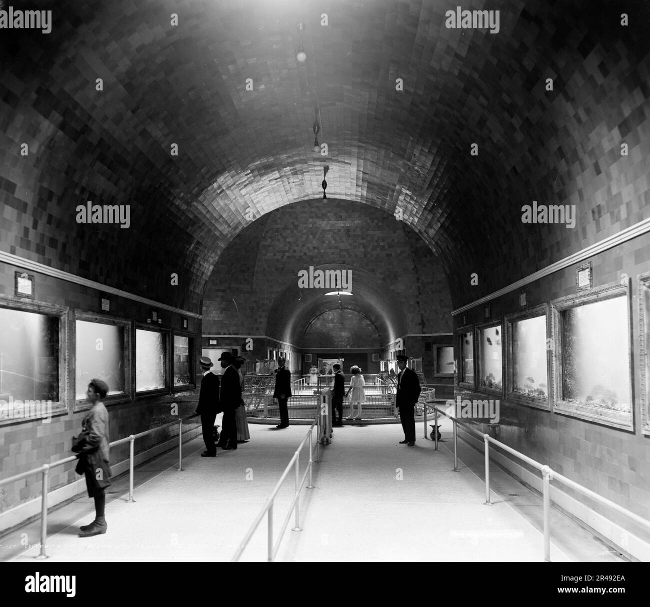 Interior of aquarium, Belle Isle, Detroit, Mich., between 1890 and 1910 ...